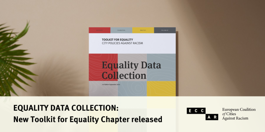 Equality Data Collection | ECCAR